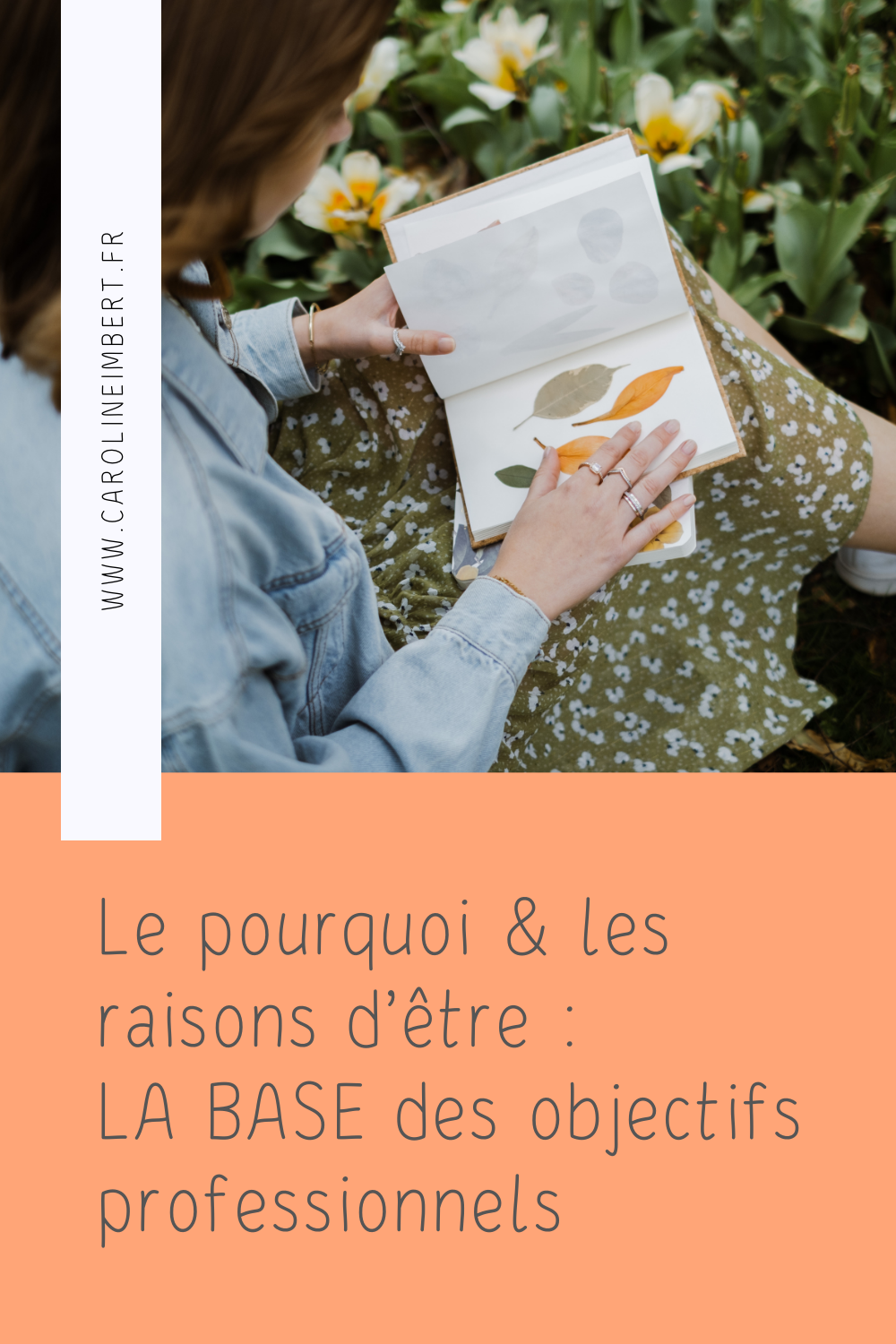 Le pourquoi & les raisons d’être : LA BASE des objectifs professionnels ...